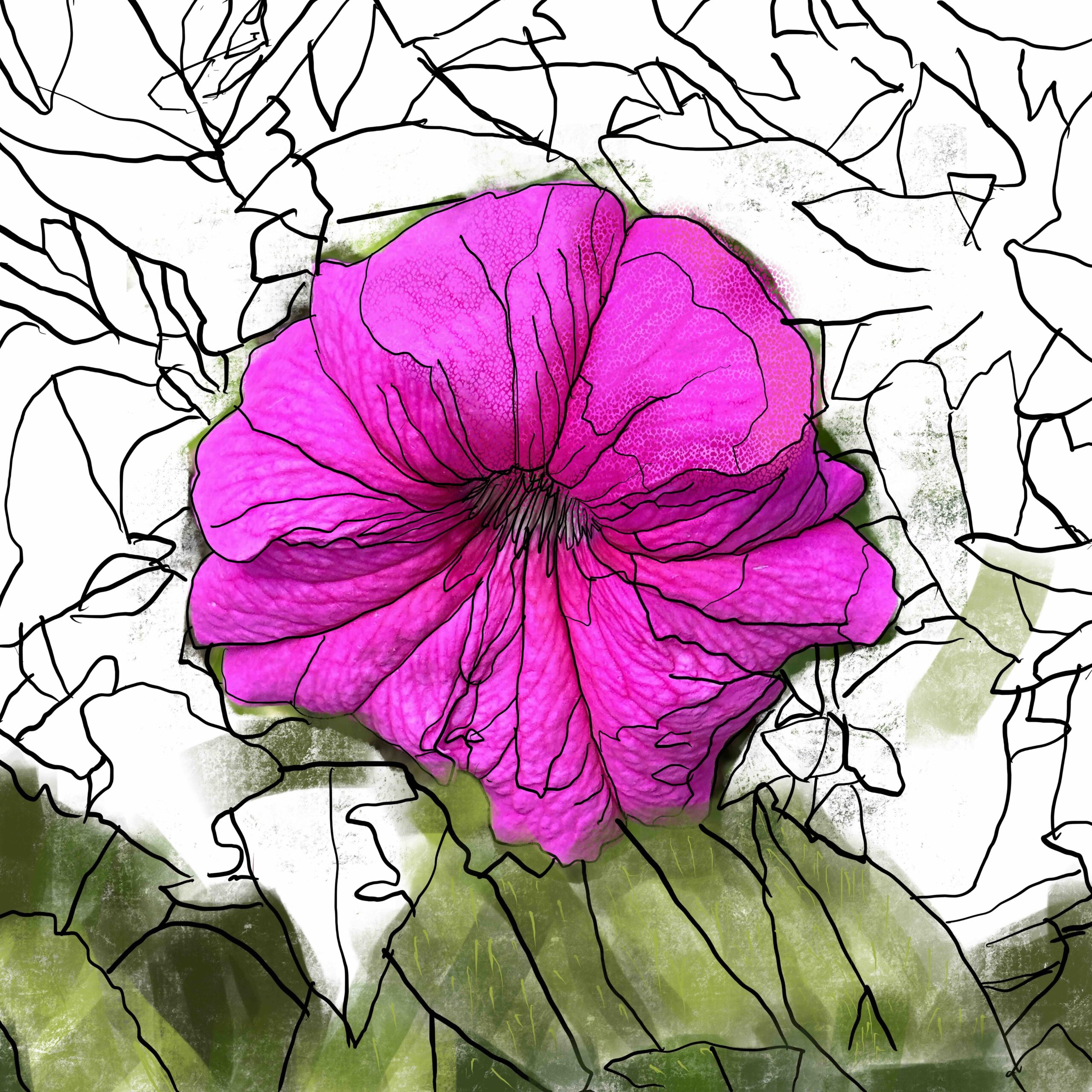 Tom Spleth - Toe River Arts