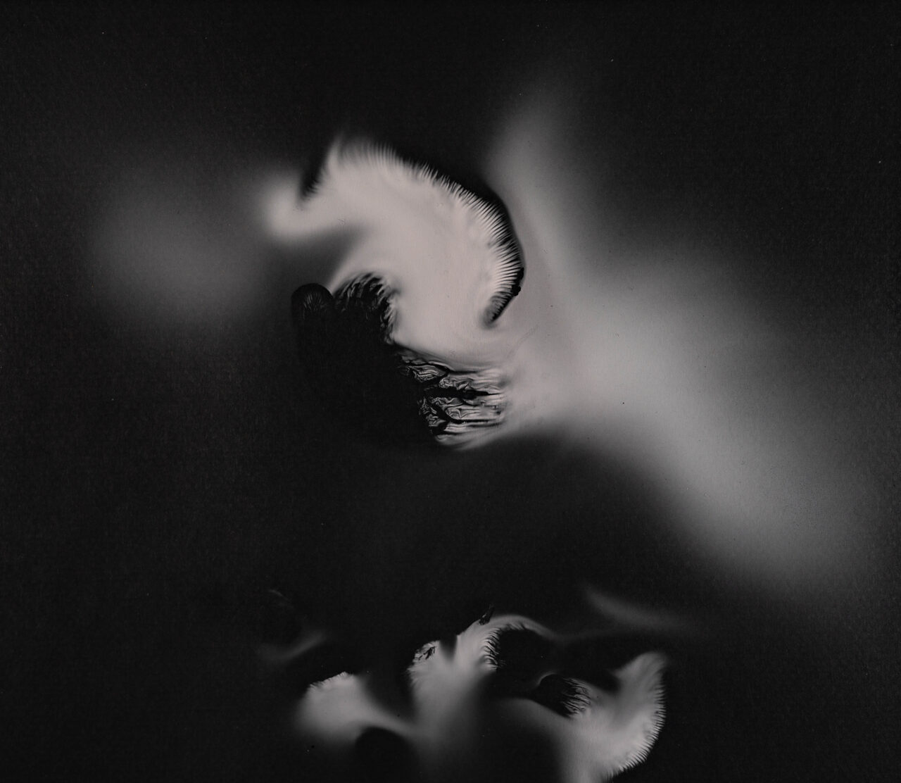 Events from September 14, 2025 – April 8, 2017 – Toe River Arts