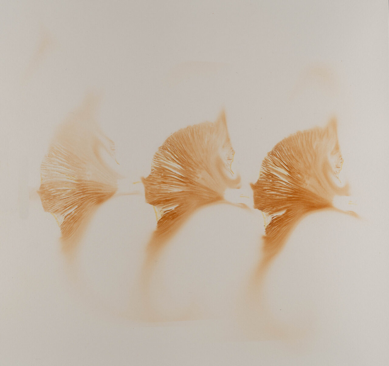 Events from October 2, 2025 – April 8, 2017 – Toe River Arts